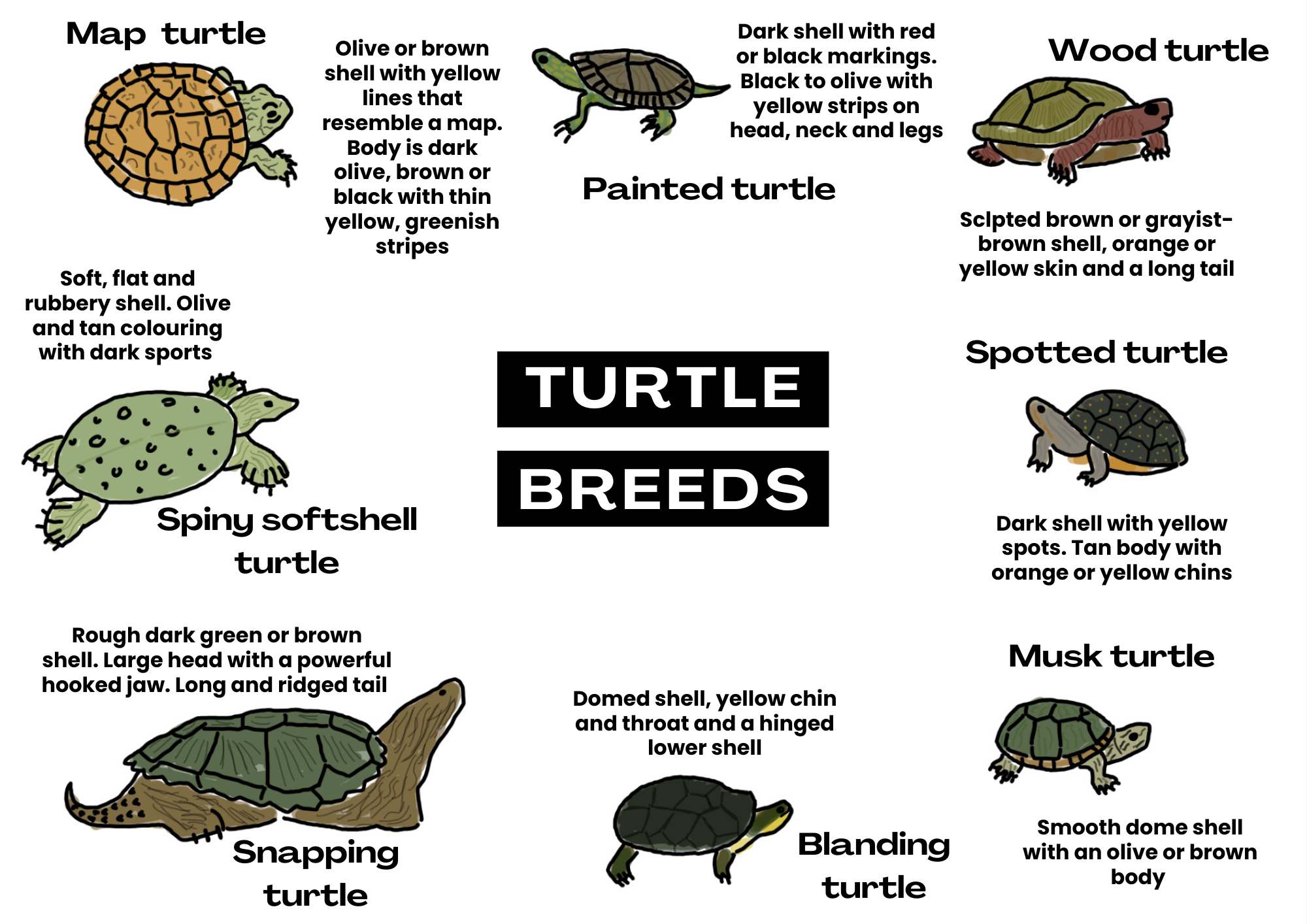 A Capital Earth feature